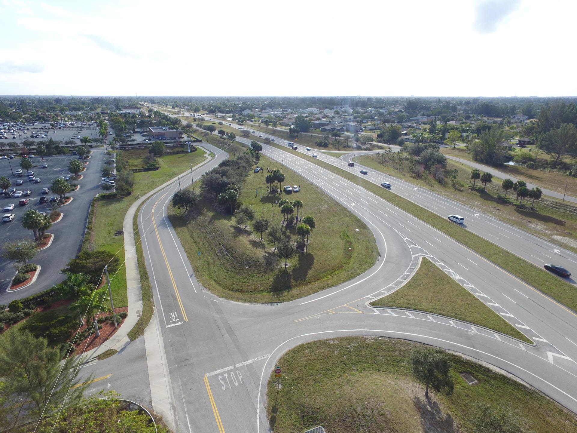 Home - Future Forestry